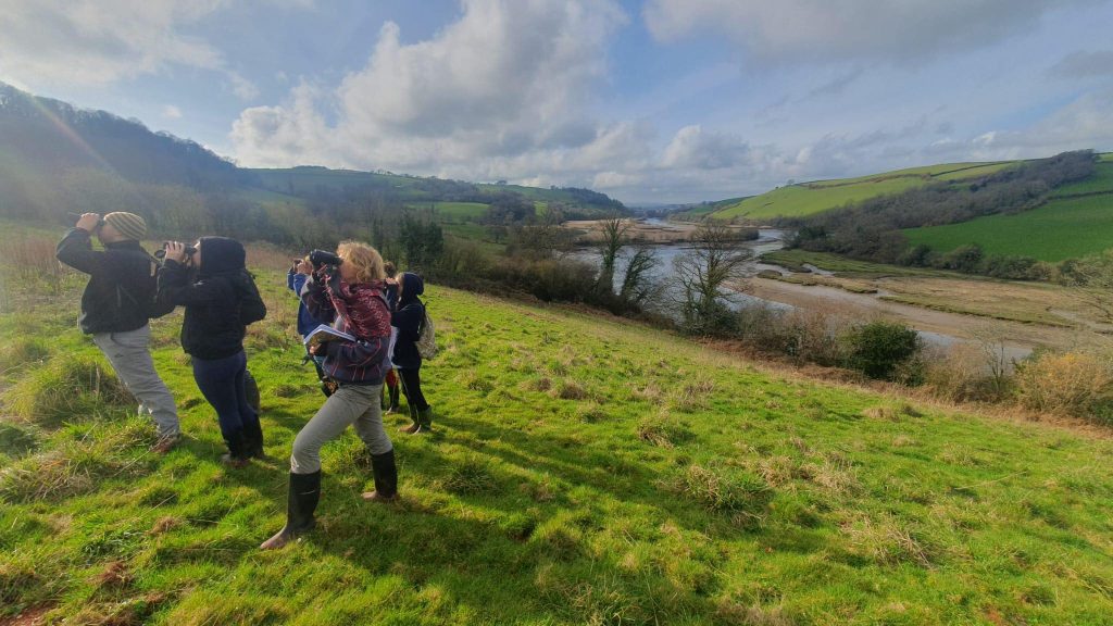 Introducing Medeine - Ambios