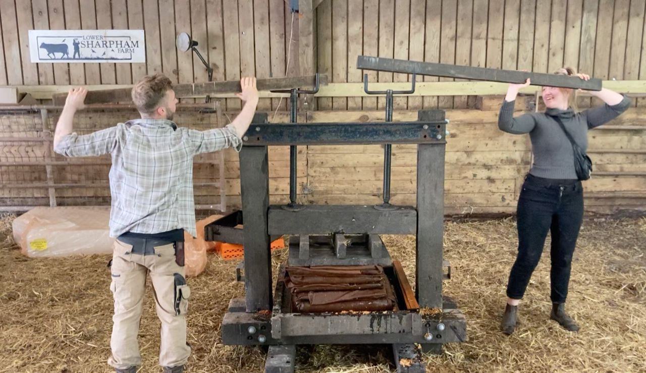 Welcome to Ella & David - Ambios