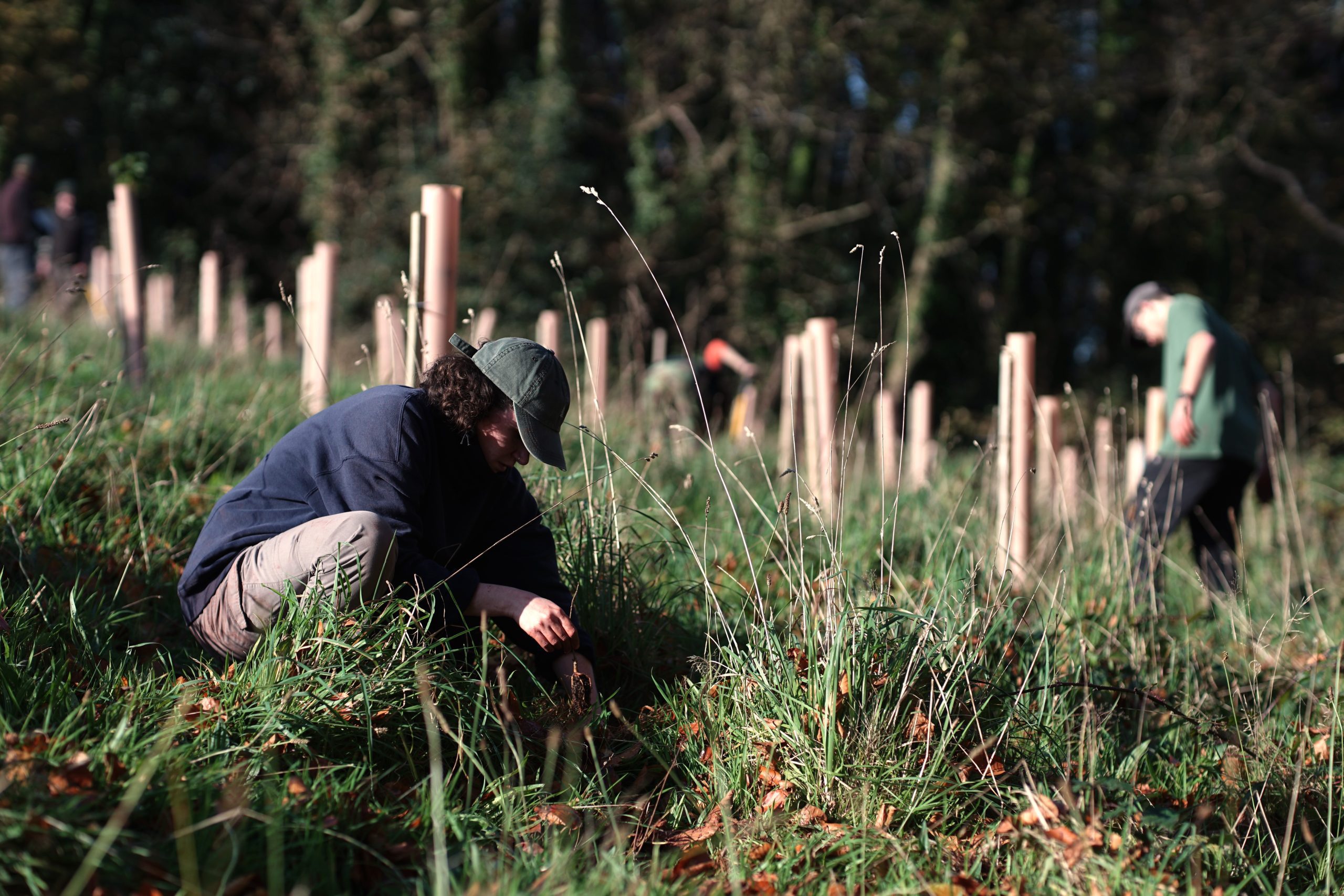 Winter tree planting camp - Forest Rising - Ambios
