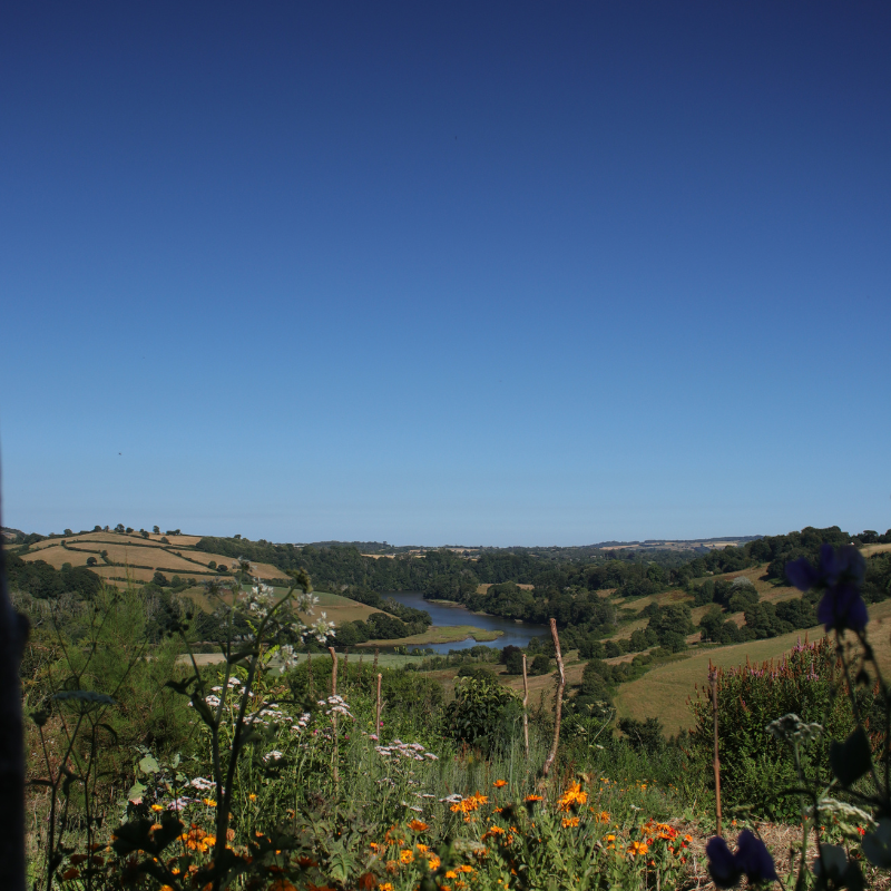 Bioregional Learning Days - Ambios