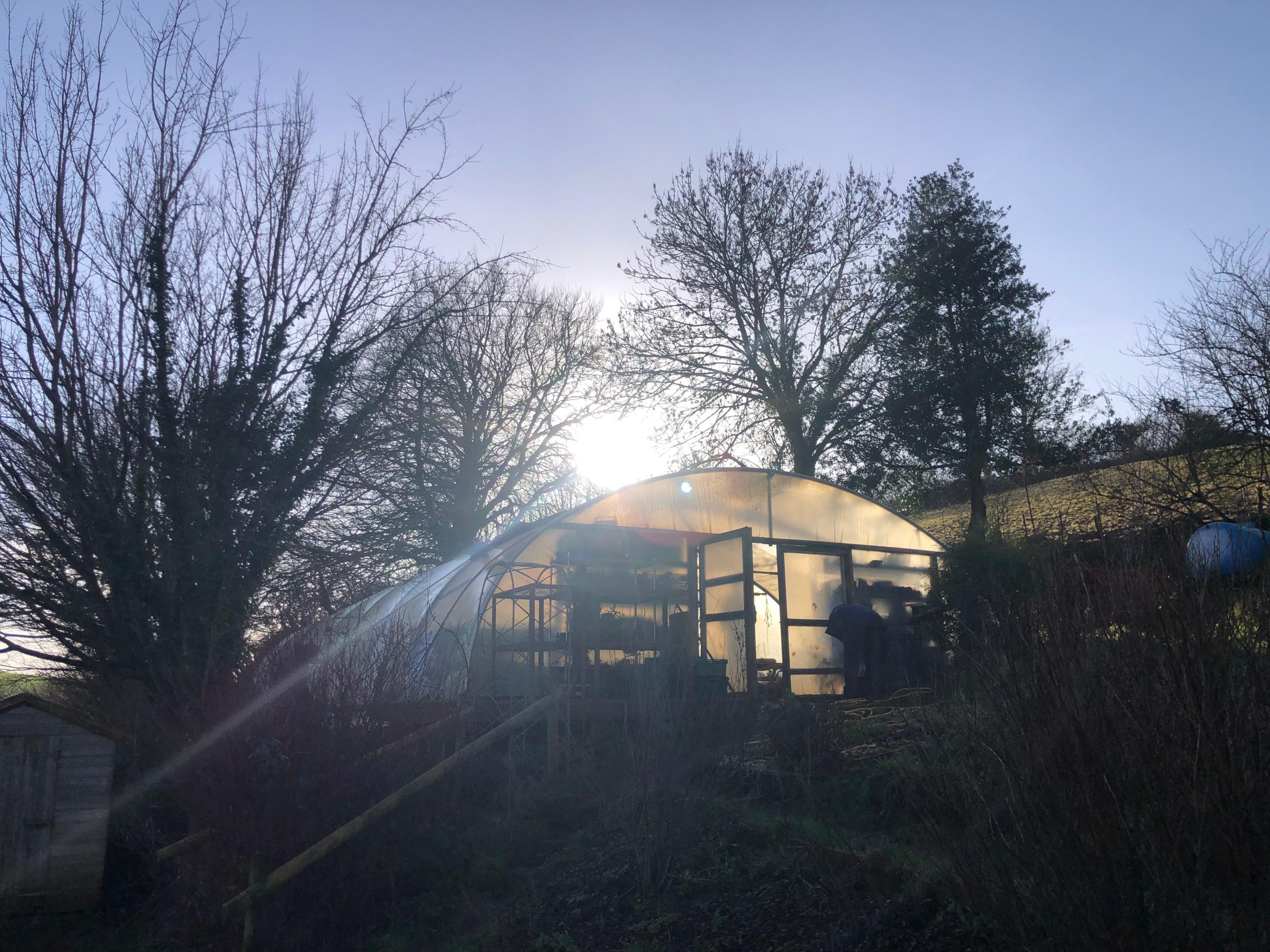 Seasonal Shifts & Spring Cleaning the Polytunnel - Ambios